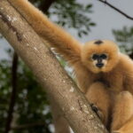 Tour of the Wildlife Rescue Center - Exploring the Wildlife Rescue Center Experience