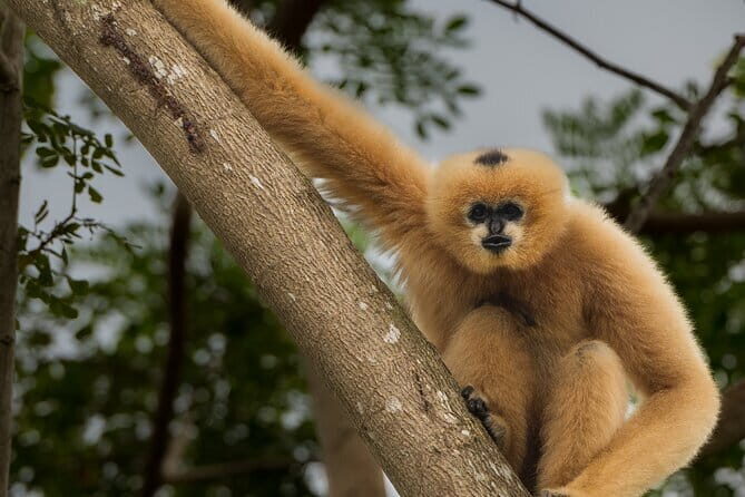 Tour of the Wildlife Rescue Center - Exploring the Wildlife Rescue Center Experience