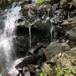 Tour Off Montreal - Authenticity and Local Insights