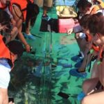 Tour the Arch, Land's End and more in Cabo's original Clear Boat - The Real Experience: What Travelers Say