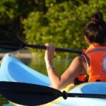 Tour the Mangroves in Kayak by Isla Holbox - Who Will Love This Tour?