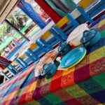 Tour to Xochimilco and Coyoacan and Frida Khalo - Who Is This Tour Best For?