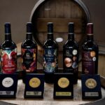 Tour & Wine Tasting San Miguel Vineyard / San Miguel Experience - The Itinerary Breakdown