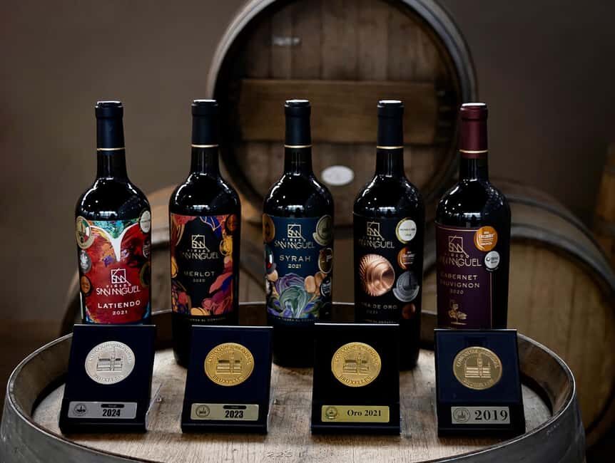 Tour & Wine Tasting San Miguel Vineyard / San Miguel Experience - The Itinerary Breakdown