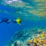 Townsville & Magnetic Island: MOUA & Great Barrier Reef Trip - How Does It Compare to Other Reef Tours?