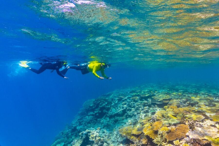 Townsville & Magnetic Island: MOUA & Great Barrier Reef Trip - How Does It Compare to Other Reef Tours?