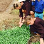 Tra Que Herb Village and Cooking Class from Hoi An Old Quarter - Who Should Do This Tour?