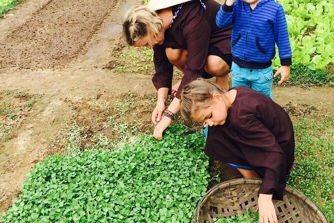 Tra Que Herb Village and Cooking Class from Hoi An Old Quarter - Who Should Do This Tour?