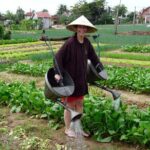 Tra Que Village Experience  A Day in the Peaceful Countryside - FAQs