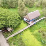 Tra Su Forest Full Day Tour From Can Tho city - An In-Depth Look at the Experience