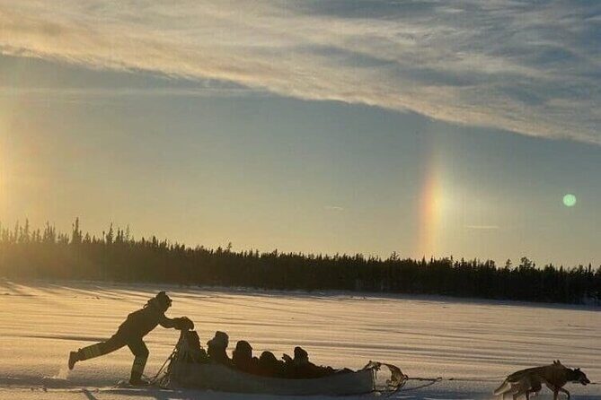 Traditional Dog Sledding Adventure in Yellowknife - Final Thoughts