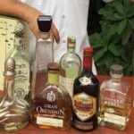 Traditional Tequila Tasting Experience with Jorge Cuervo - Who Will Love This Tour?
