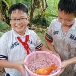 Traditional Vietnamese Cuisine Cooking Experience in Saigon - What the Tour Offers in Value and Experience