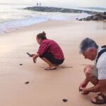 Transfer between Colombo Airport (CMB) and Galle Bungalow, Galle - Why This Transfer Stands Out