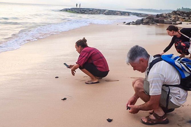 Transfer between Colombo Airport (CMB) and Galle Bungalow, Galle - Why This Transfer Stands Out