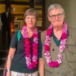 Transfer between Colombo (CMB) Airport and Dickwella Resort - Authentic Insights from Travelers’ Perspectives