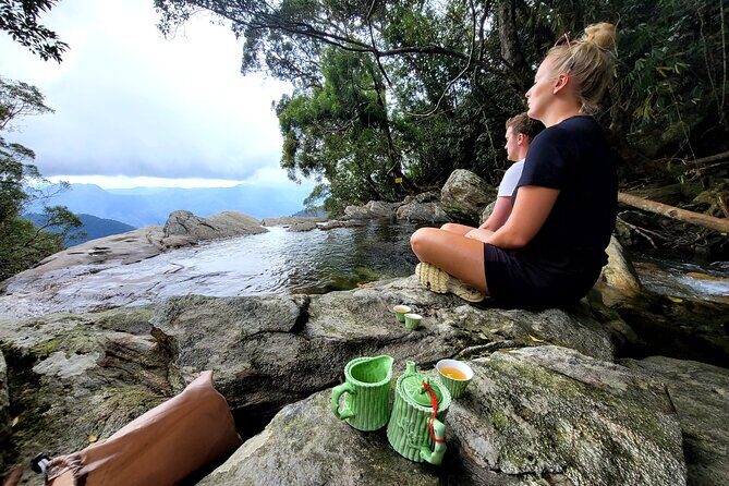 Transfer from Da Nang or Hoi An to Hue via Bach Ma National Park - Who Should Consider This Tour?