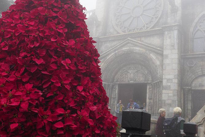 Transfer from Danang to Ba Na hills get free to Marble mountains - Practical Tips for Travelers