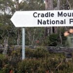 Transfer from Launceston to Cradle Mountain - A Day Inside the Journey: Tips and Insights