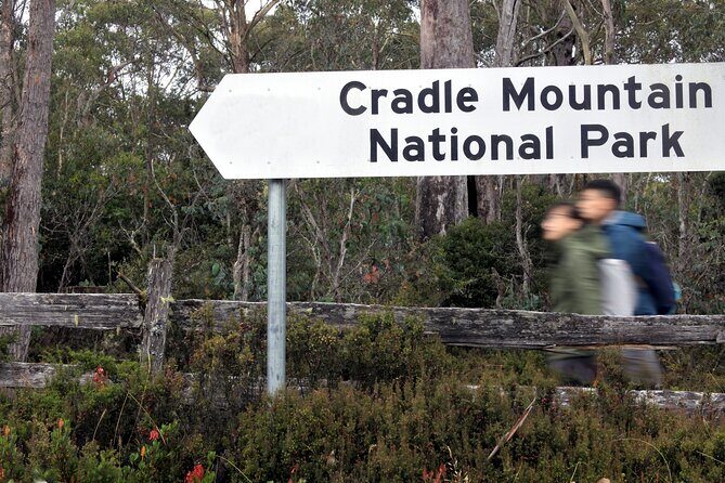 Transfer from Launceston to Cradle Mountain - A Day Inside the Journey: Tips and Insights