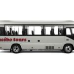 Transfer In/Out Makassar Airport - Hotels - The Booking Experience and Practicalities