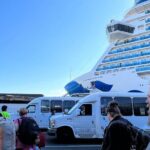 Transfer Pier 91 to International SeaTac Airport One Way - Who Should Consider This Service?