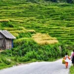 Transfer to or from Sapa in a Sleeper Bus from Hanoi - Why Travelers Love This Service