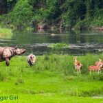 Transport Cover Nepal - What Travelers Are Saying