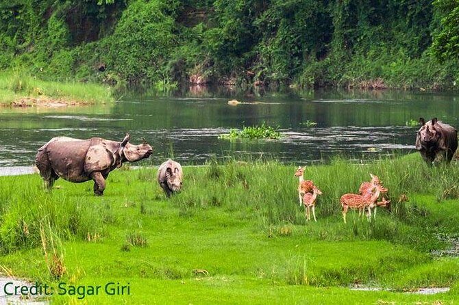 Transport Cover Nepal - What Travelers Are Saying