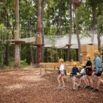 TreeClimb Kuitpo Forest: Exciting Treetop Climbing Adventure - The Value of the Experience