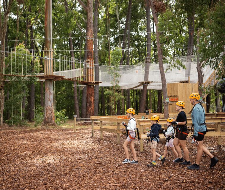 TreeClimb Kuitpo Forest: Exciting Treetop Climbing Adventure - The Value of the Experience