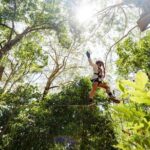 TreeTop Challenge Currumbin Wildlife Park - The Experience in Detail