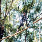 Treetops Adventure Coffs Harbour Tree Ropes Course - Authentic Insights from Reviewers