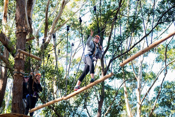 Treetops Adventure Coffs Harbour Tree Ropes Course - Authentic Insights from Reviewers