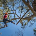 Treetops Adventure Newcastle with Tree Ropes Course - Authentic Insights from Reviews