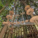 Treetops Adventure The Hills - Tree Ropes Course - What You Can Expect During Your Visit