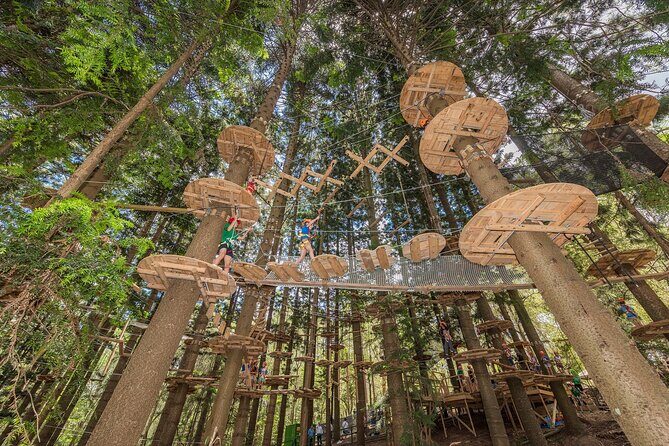 Treetops Adventure The Hills - Tree Ropes Course - What You Can Expect During Your Visit
