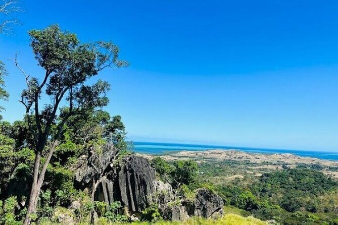 Treetops Zipline Tour with Drop off Transfer to Nadi Airport - Practical Details and Tips