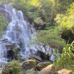 Trek Botanic Garden & Discover Phong Nha Cave Boat Tour - Discovering a Hidden Cave and Rescued Wildlife