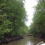 Trek Can Gio Mangrove, Monkey Island with Croc Farm & Cano Option - Who Will Love This Tour?