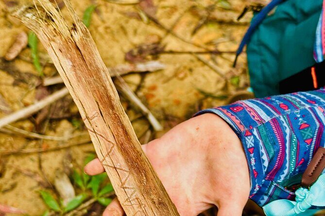 Trek Shoot and Soothe Hiking Tour from Springwood Blue Mountains - Why This Tour Might Be Perfect for You