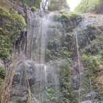 Trek the Kodachadri Summit - FAQ About the Kodachadri Trek