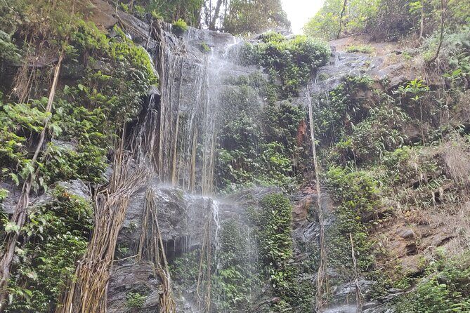 Trek the Kodachadri Summit - FAQ About the Kodachadri Trek