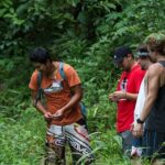 Trek to a Jungle Waterfall - The Sum Up — Who Should Consider This Tour?