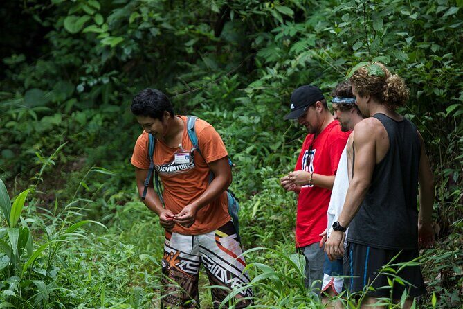 Trek to a Jungle Waterfall - The Sum Up — Who Should Consider This Tour?