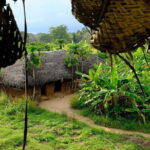 Trekking in Illukpelessa Village from Ella - What’s Included and What’s Not