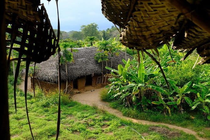 Trekking in Illukpelessa Village from Ella - What’s Included and What’s Not