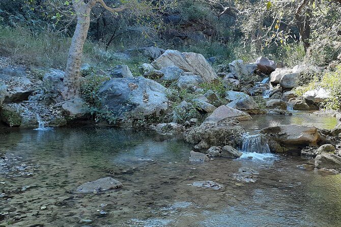 Trekking in Kumbhalgarh - Comfort and Convenience
