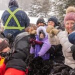 Tremblant Sleighride - Who Will Love the Tremblant Sleighride?