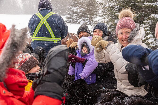 Tremblant Sleighride - Who Will Love the Tremblant Sleighride?